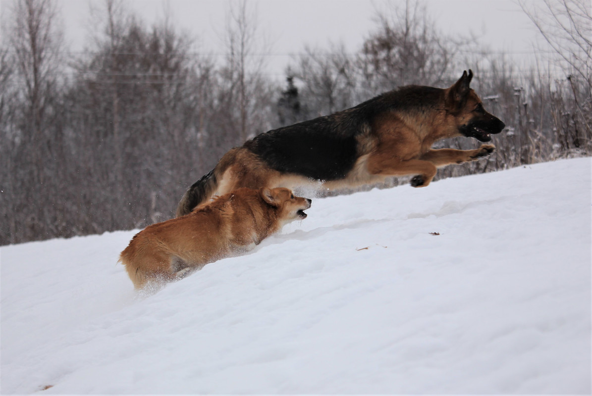 IMG 1418 — Postimages