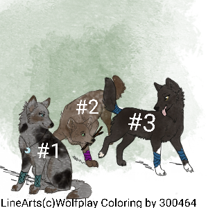 Wolf Play : Midnights Wolf Adopts