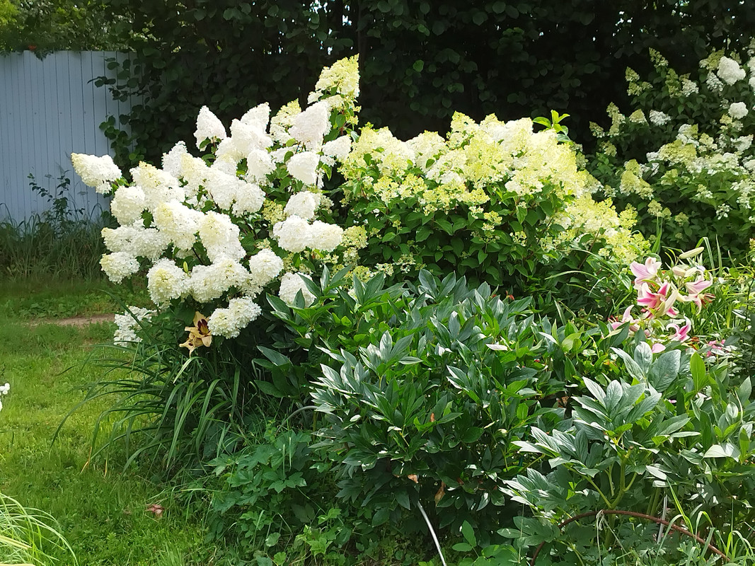 IMG 20240721 103842 — Postimages