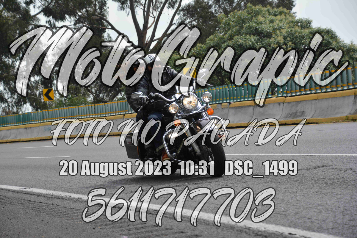 Album — Postimages