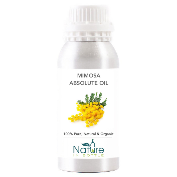 Mimosa Absolute Organic - Acacia decurrensÂ Essential Oil