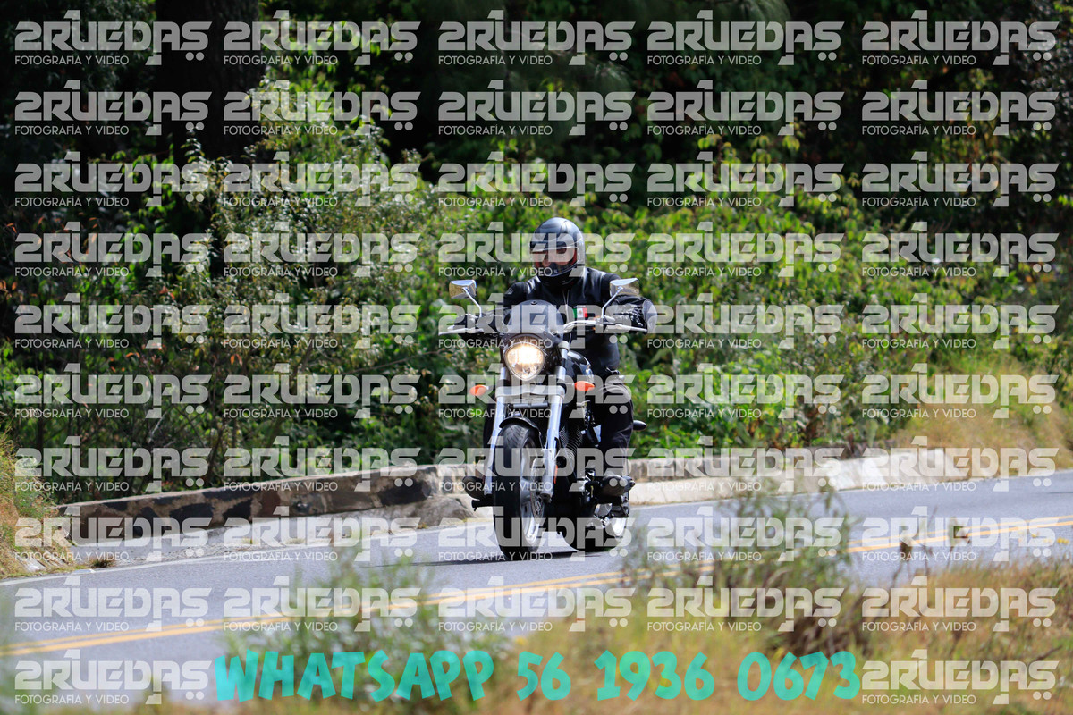 MG 1151 — Postimages