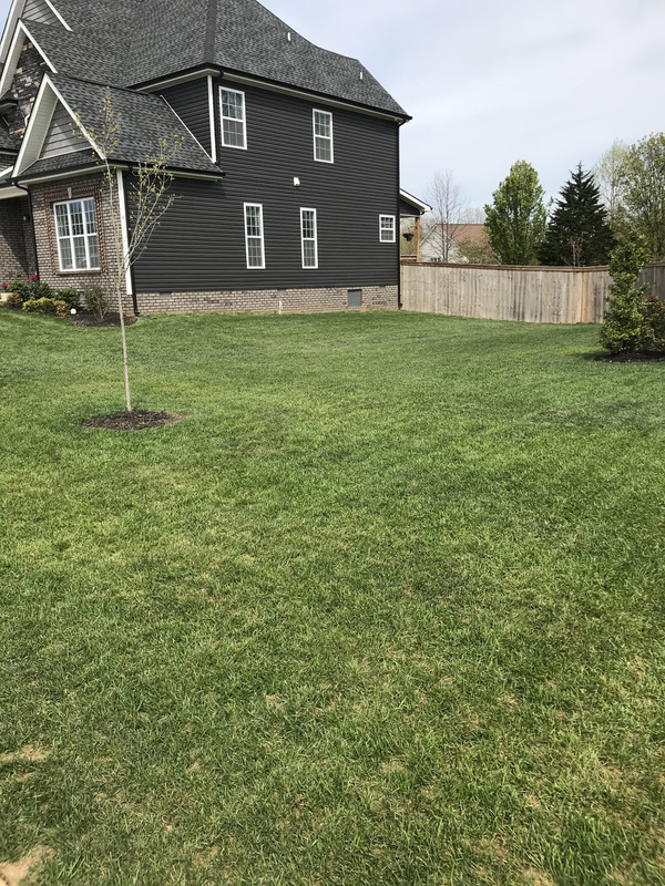 Too much sand... | Lawn Care Forum