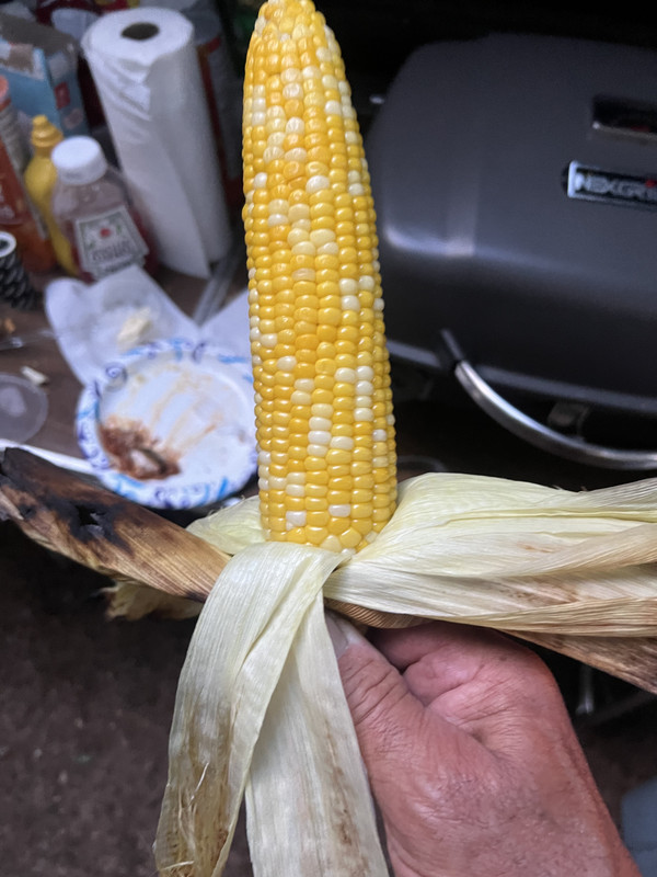 IMG 3844 — Postimages