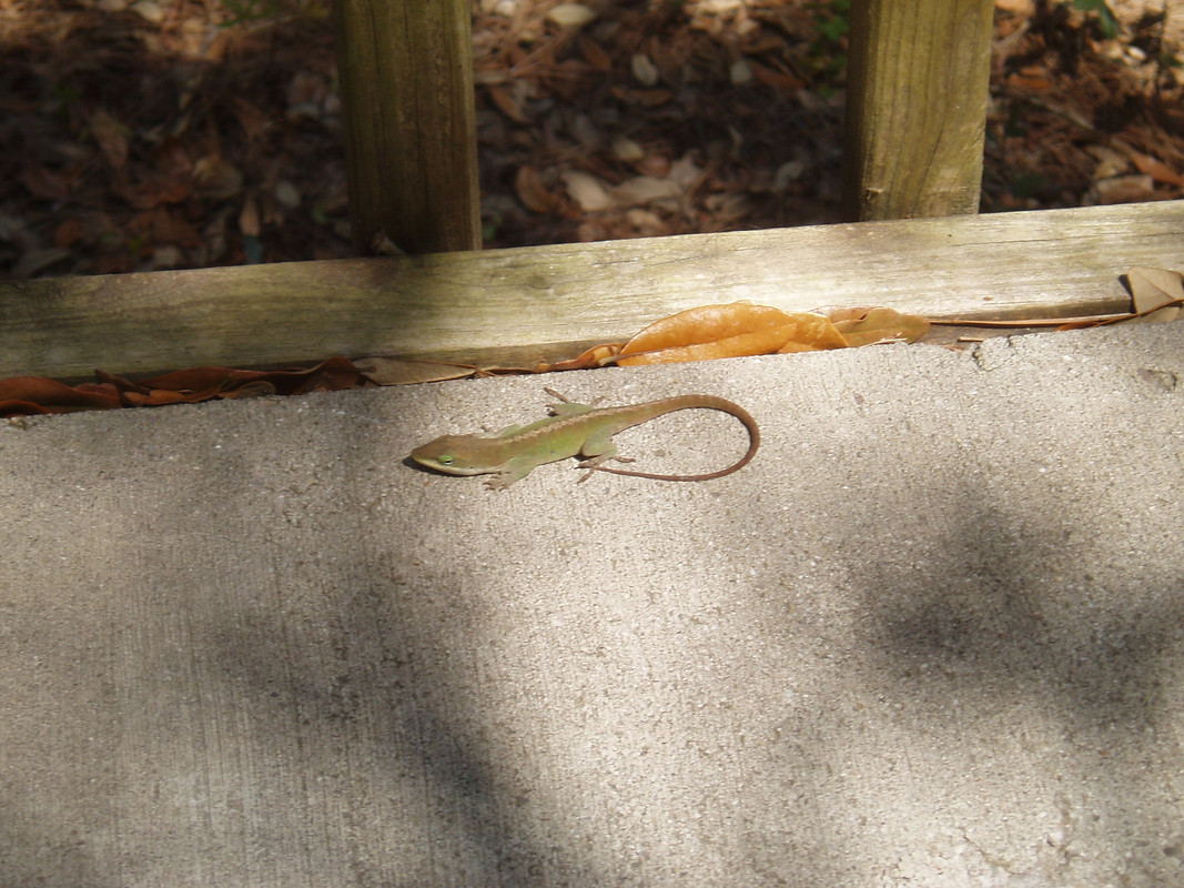 spring road trip 024 — Postimages