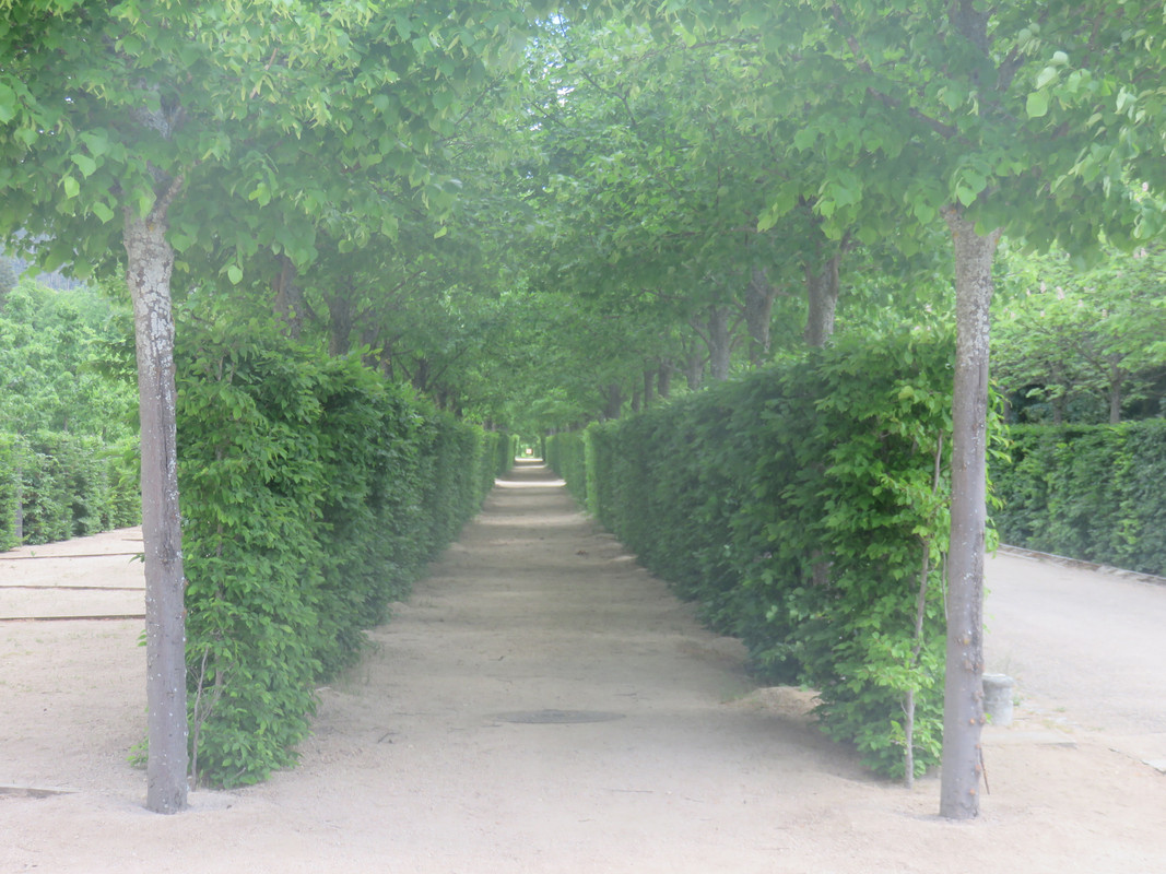 IMG 4807 — Postimages