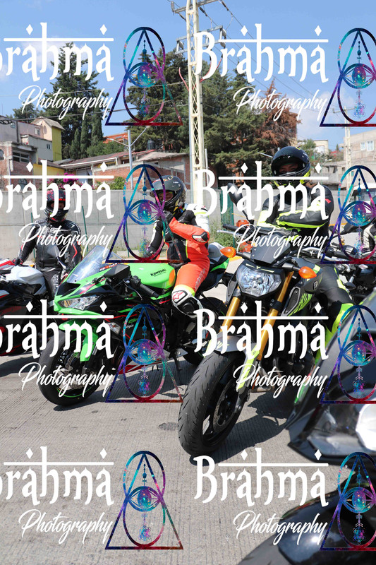 IMG 1812 — Postimages