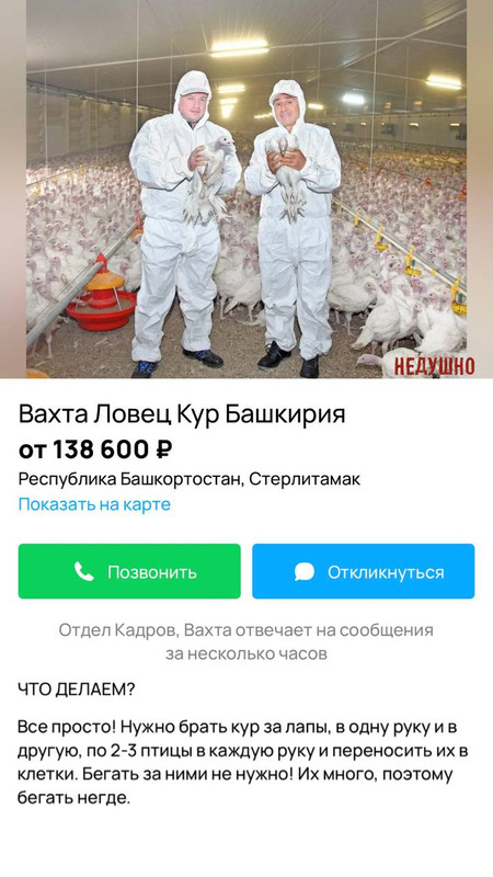 IMG 9251 — Postimages