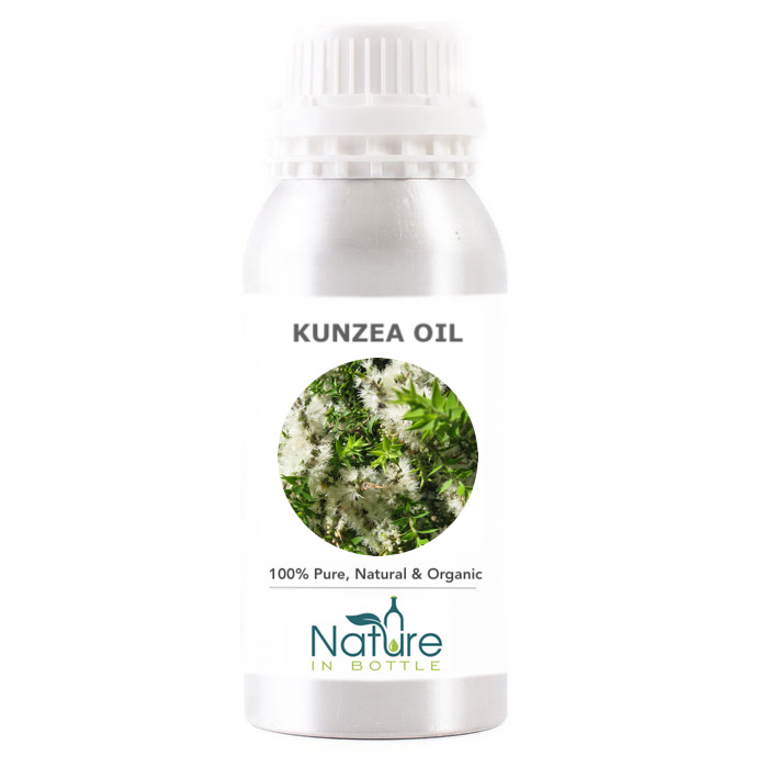 Kunzea Essential Oil Organic - Kunzea Ambigua Tasmania