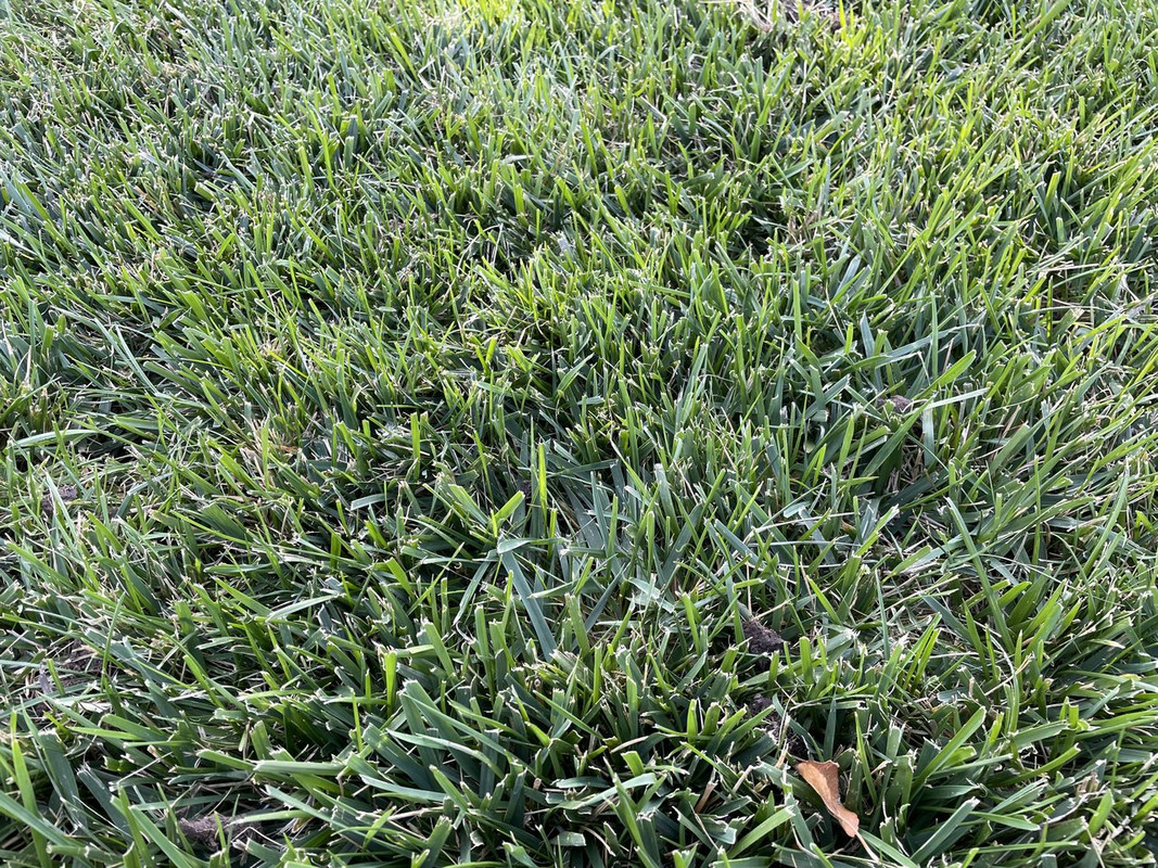 IMG 9392 — Postimages