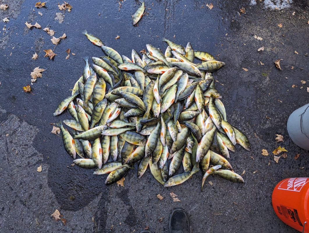 image000000 — Postimages