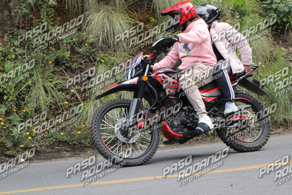IMG 4615 wm 1993395 9 watermarked — Postimages
