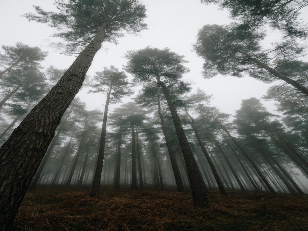 Who needs a goreshit map background? : r/osugame