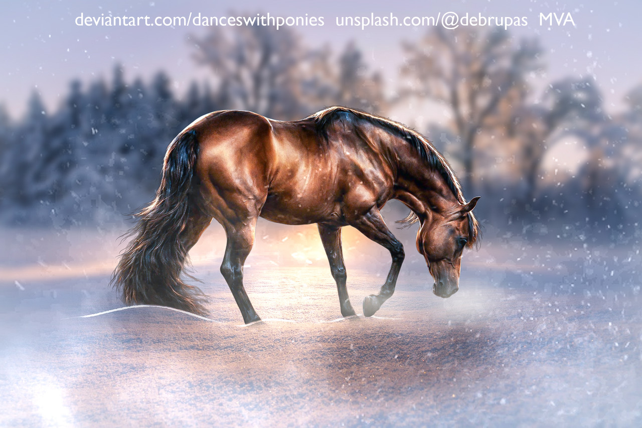 Horse Eden : Baby Its Cold Outside