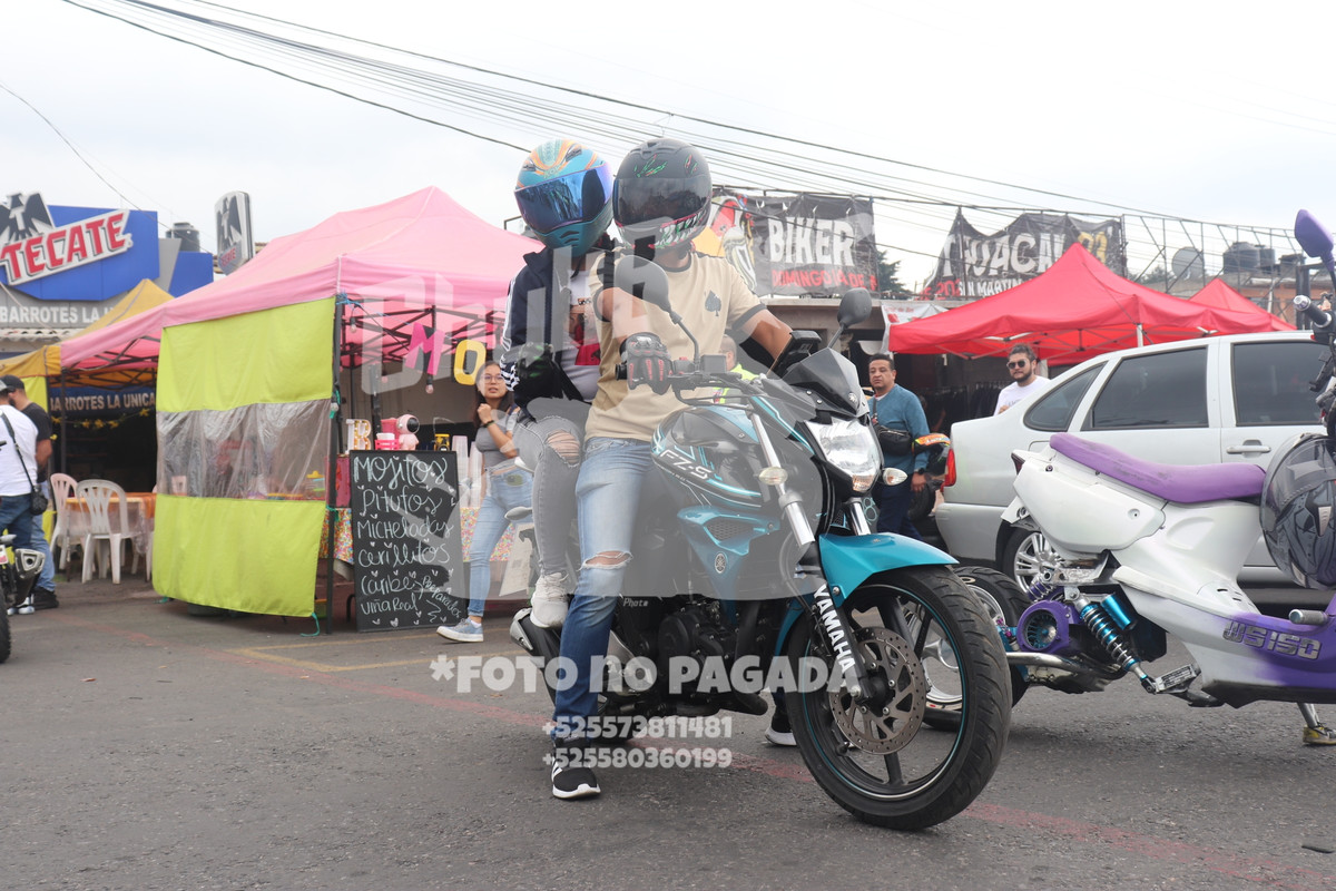 batch 20230607133905 IMG 1924 — Postimages