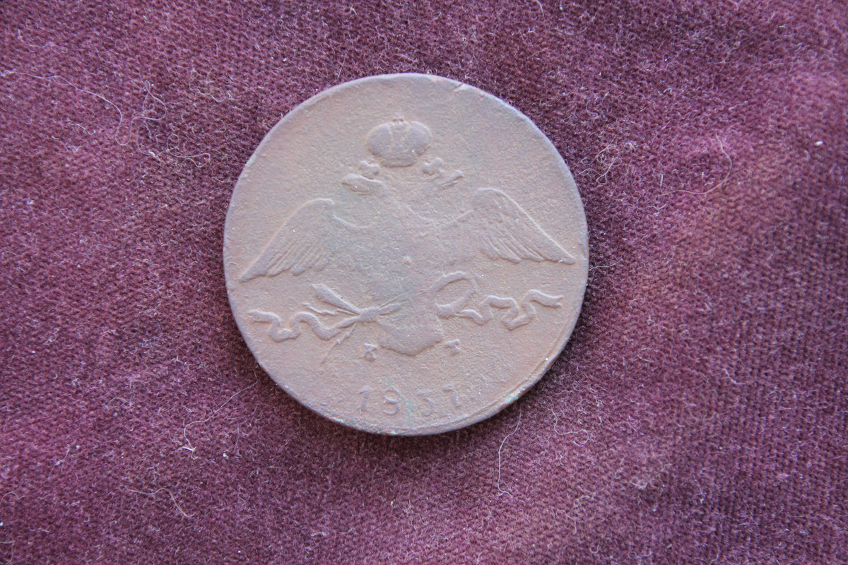 IMG 1551 — Postimages