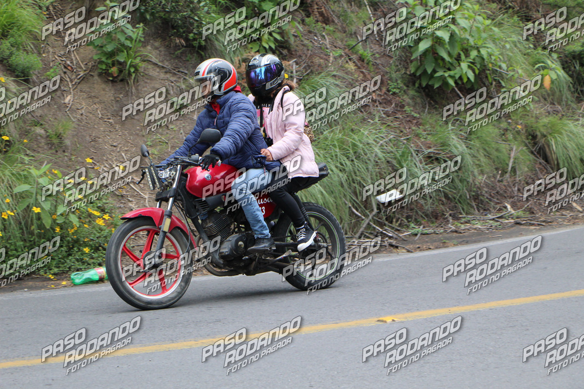 IMG 9323 wm 2163509 2 watermarked — Postimages