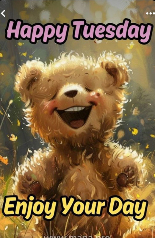 IMG 6196 — Postimages