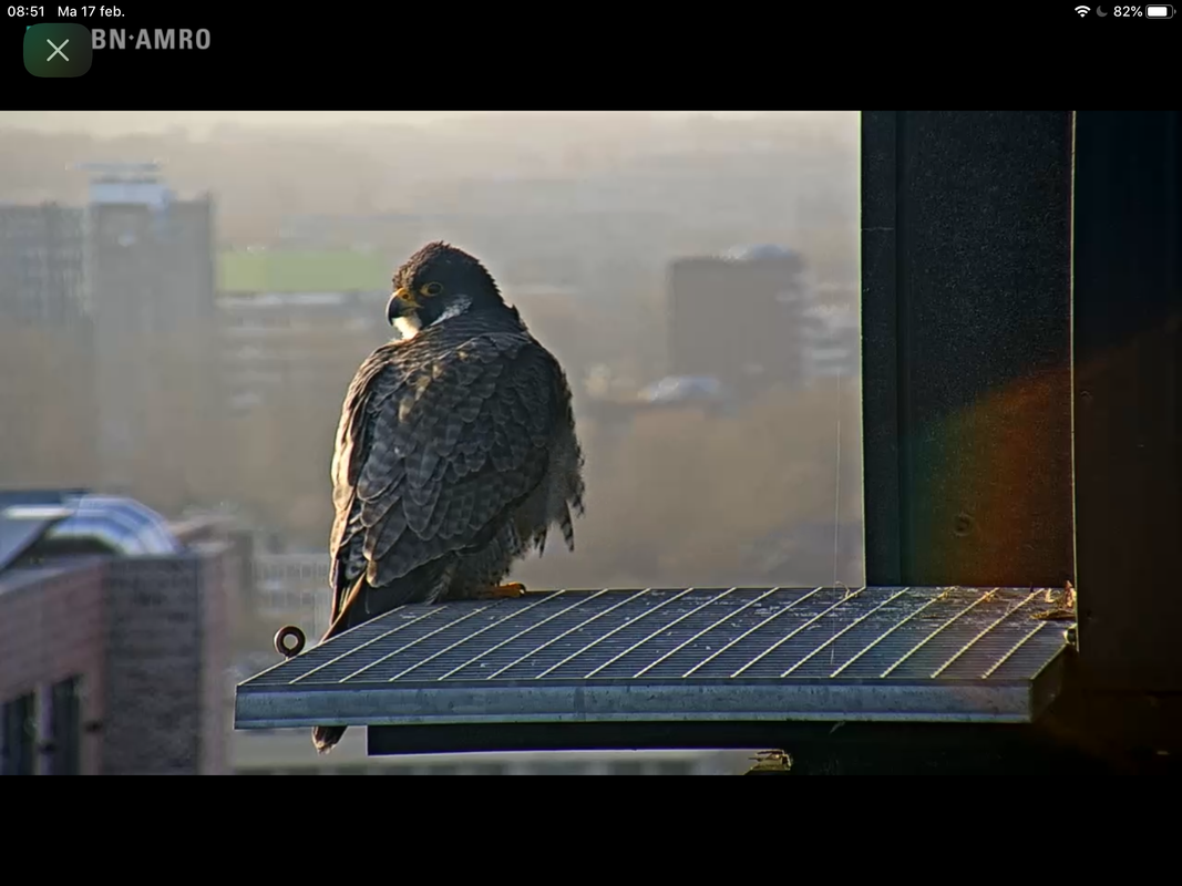 1363 C50 D 0 D8 C 4 CF6 AE6 B 3 BD7 C00 A33 DE — Postimages