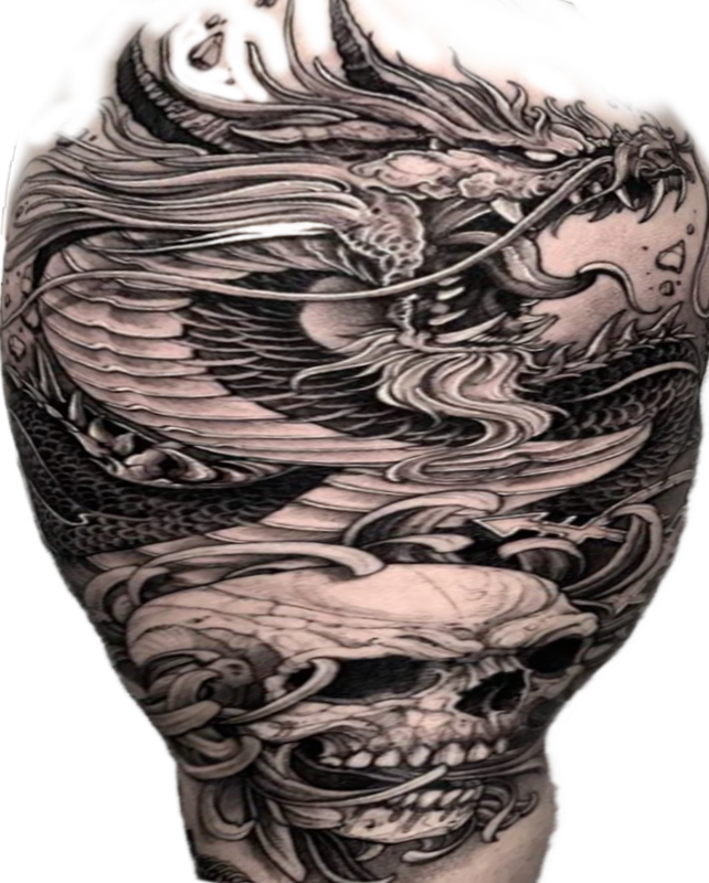 dragon — Postimages