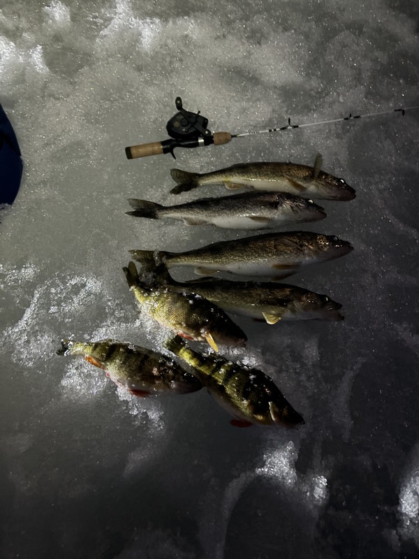 IMG 2902 — Postimages