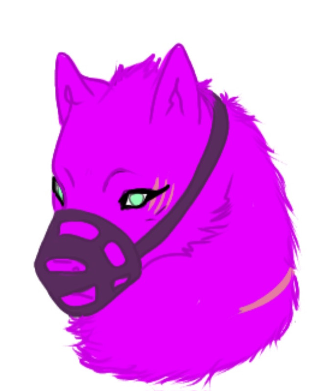 Screenshot 20230311 022835 ibis Paint X — Postimages