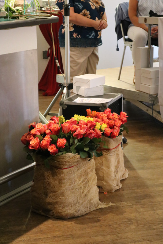 IMG 1242 — Postimages