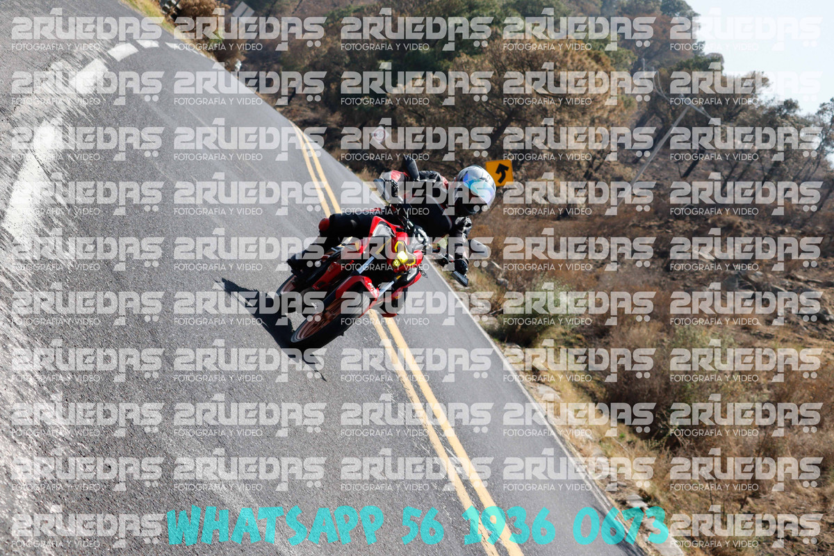 MG 1637 — Postimages