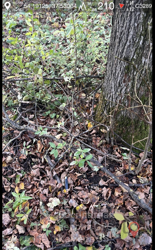 IMG 1377 — Postimages