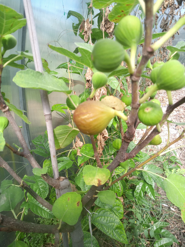 IMG 20230904 140816 753 — Postimages