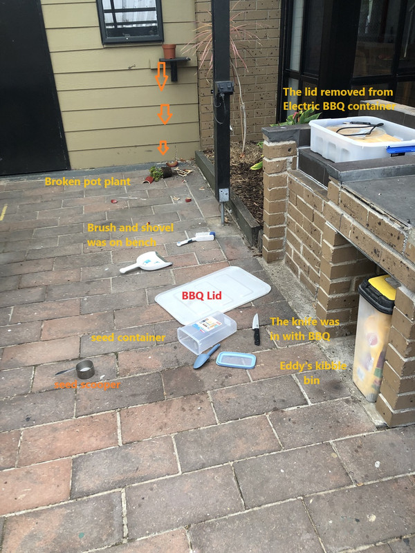 IMG 1178 — Postimages