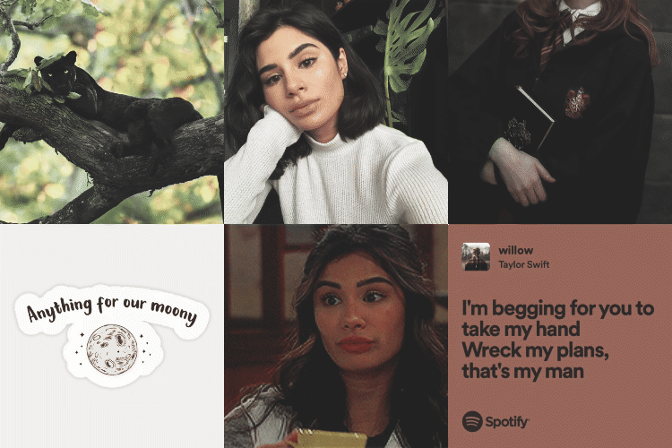 The Cardona Family: The Anthology - Chapter 1 - JCardonaCardona - Harry ...