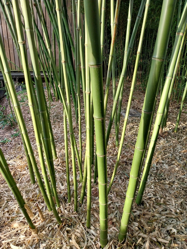 20240401 191038 — Postimages