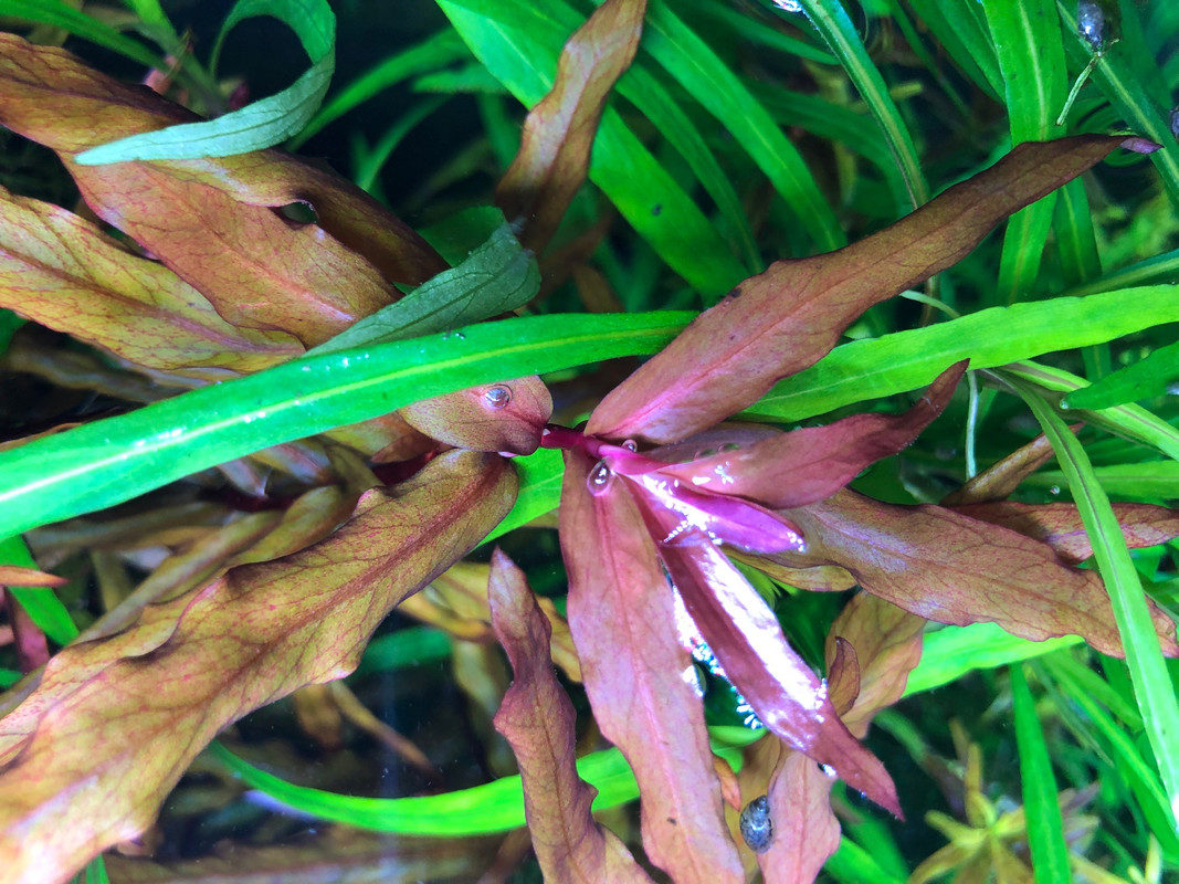 IMG 9016 — Postimages