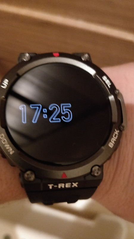 Modify original zepp watchface T-REX 2 - Amazfit Watch faces
