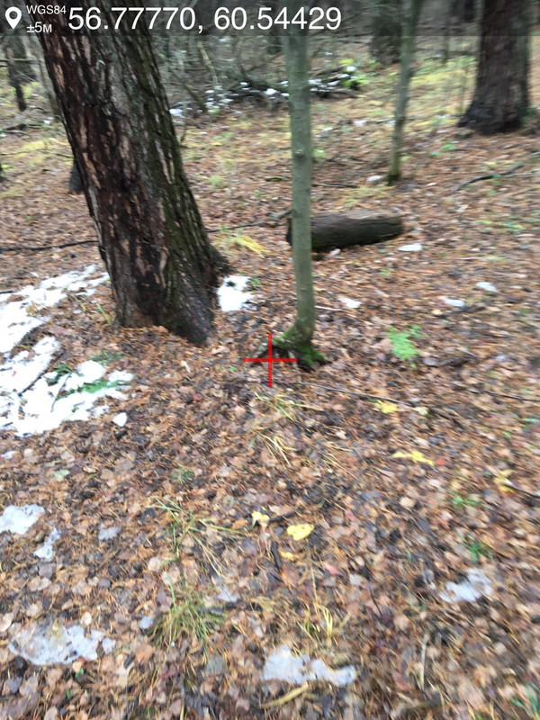 IMG 9481 — Postimages