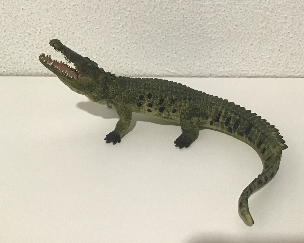 Next level in Roger's Collection... a new Mountain Goat!