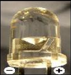 Pengguna:HelmiAdam - widuri