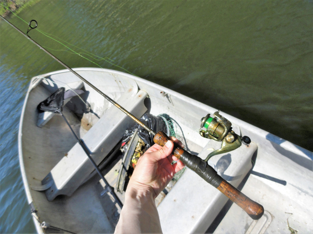 Latest Catch Pics Thread - Page 481 - Fishing Reports - Bass Fishing Forums