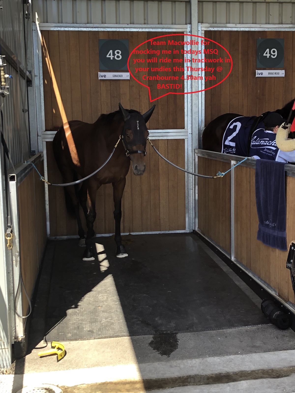 IMG 1190 — Postimages