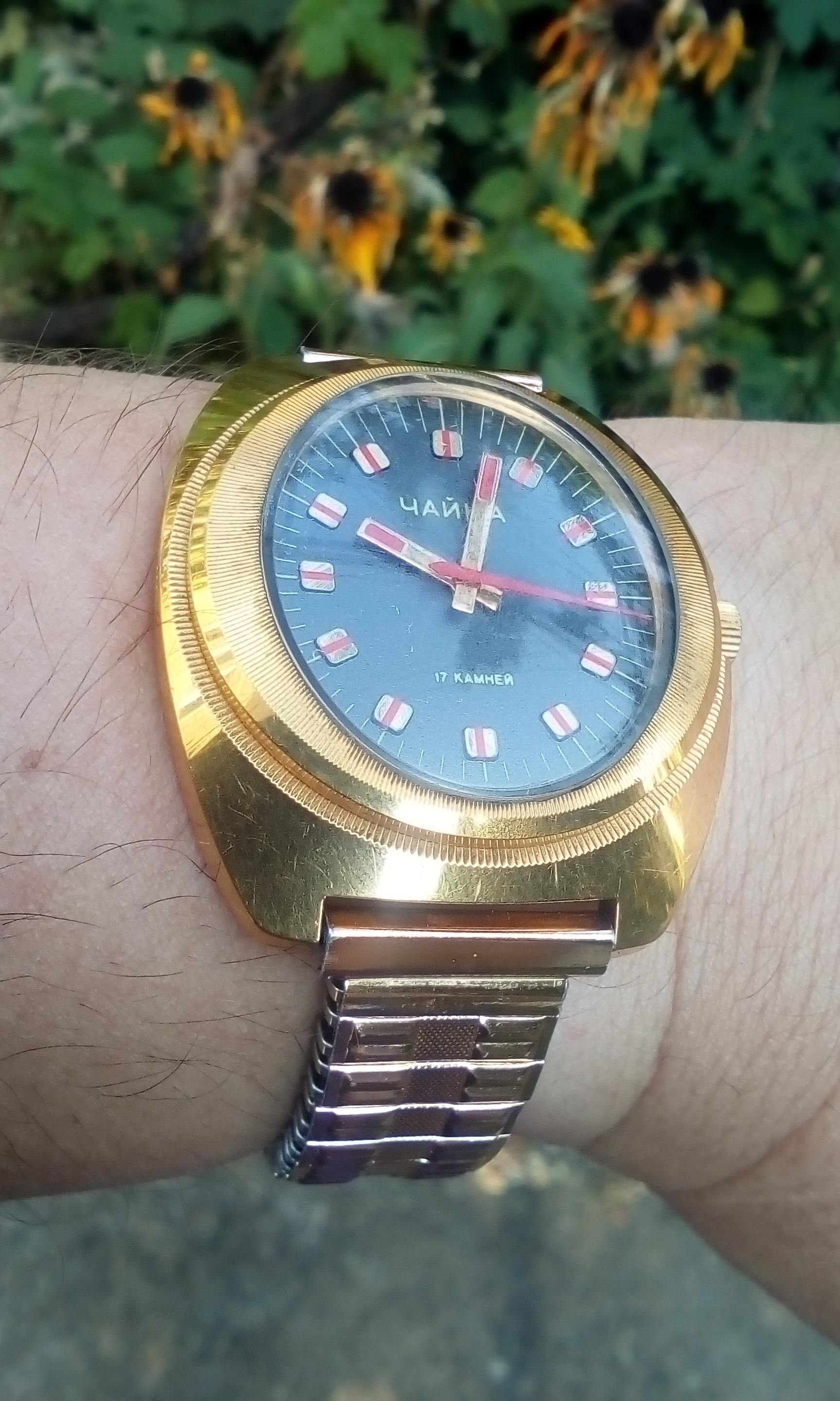 IMG 20170811 100225 — Postimages