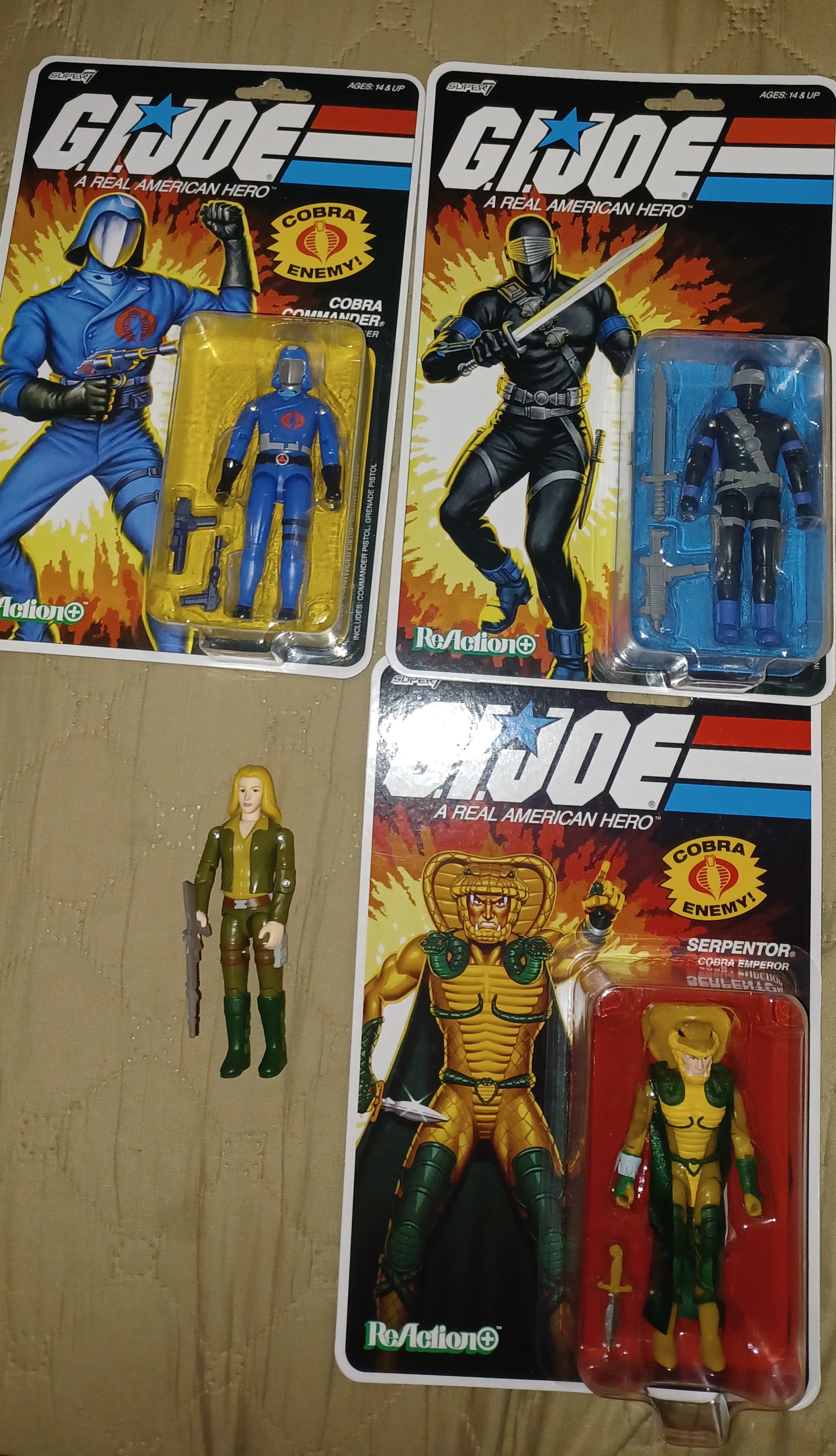 20250119 152453 — Postimages