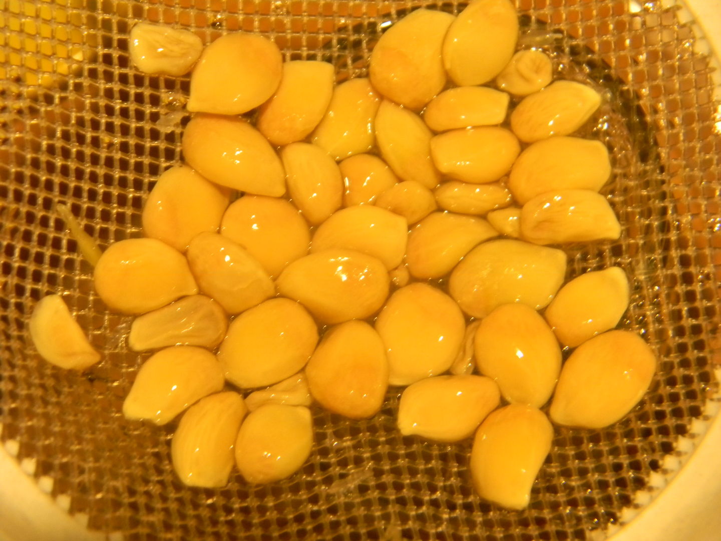 ichangstar seeds — Postimages