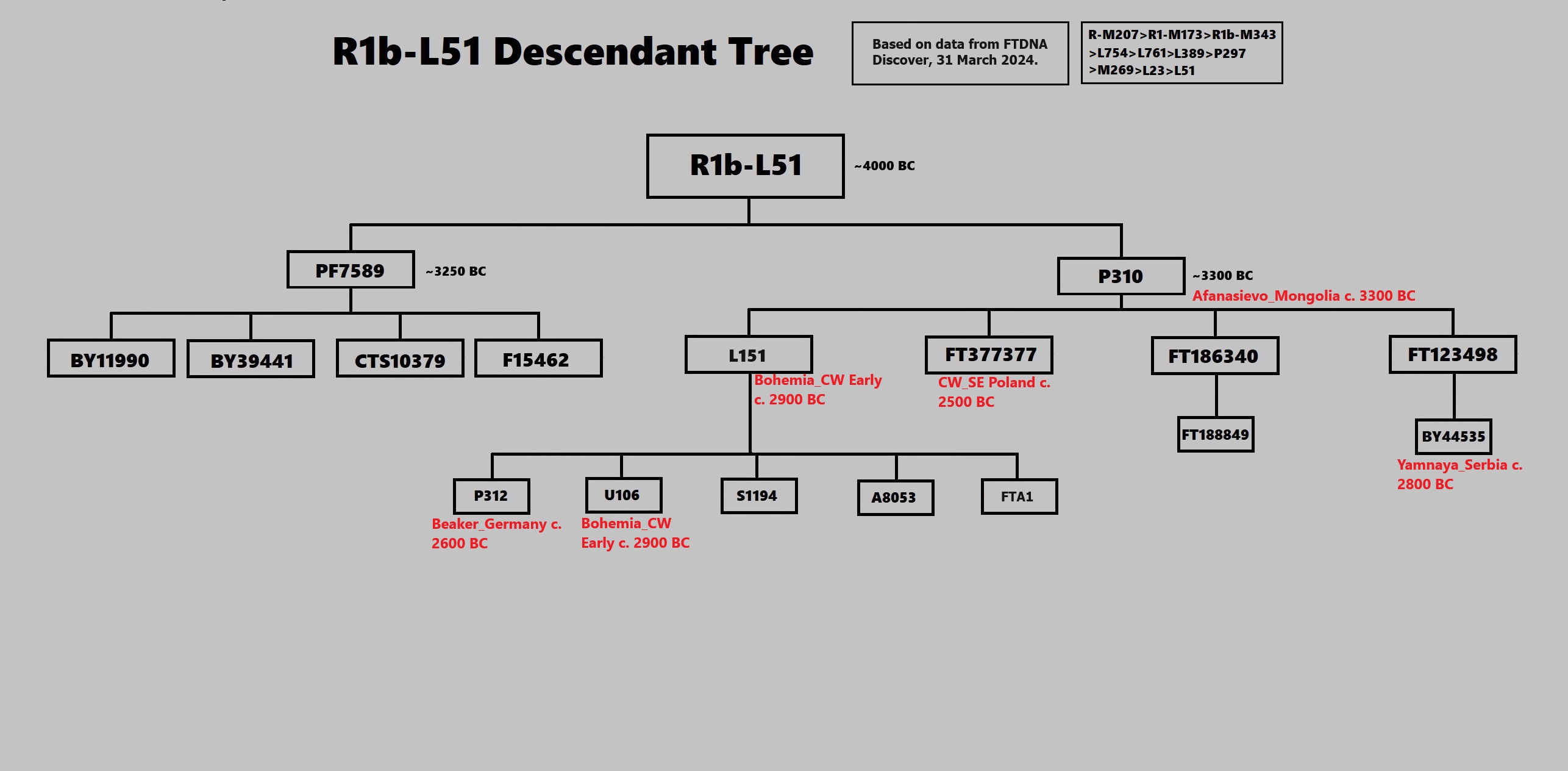 R1b L51 Descendant Tree scratch notes 28 Oct 2024 — Postimages
