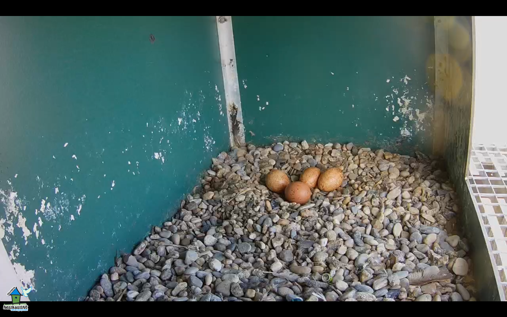 Schermopname 2040 — Postimages