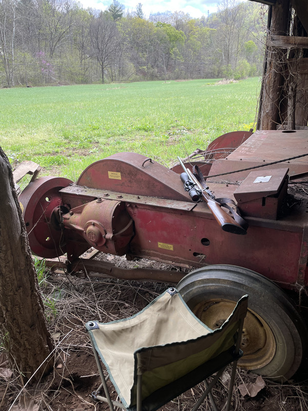 IMG 5446 — Postimages