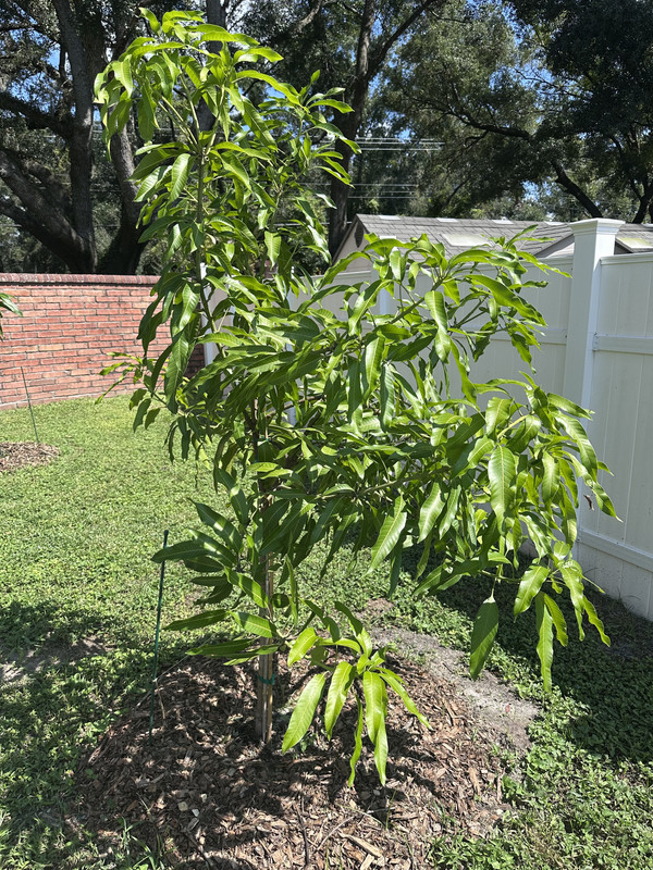 IMG 4175 — Postimages