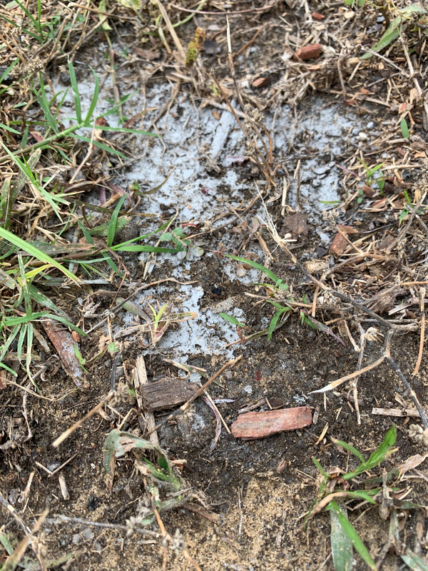 IMG 1637 — Postimages