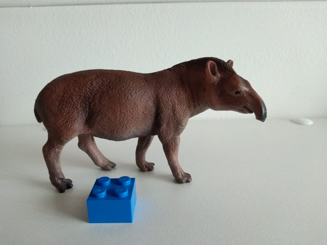 Wild and Farm animals 2020 from Mojo Fun!