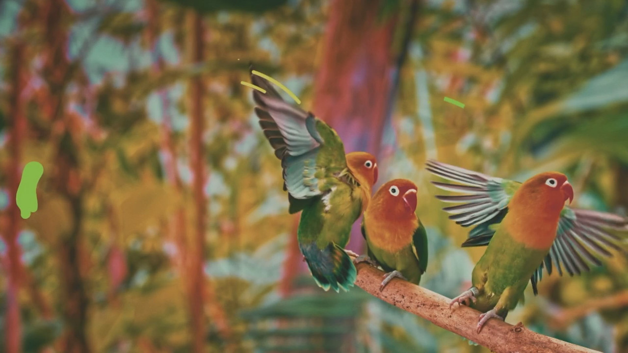 Animal Fanpedia S01 E15 1080p TOD WEB DL AAC2 0 H 264 Future Pirates ...